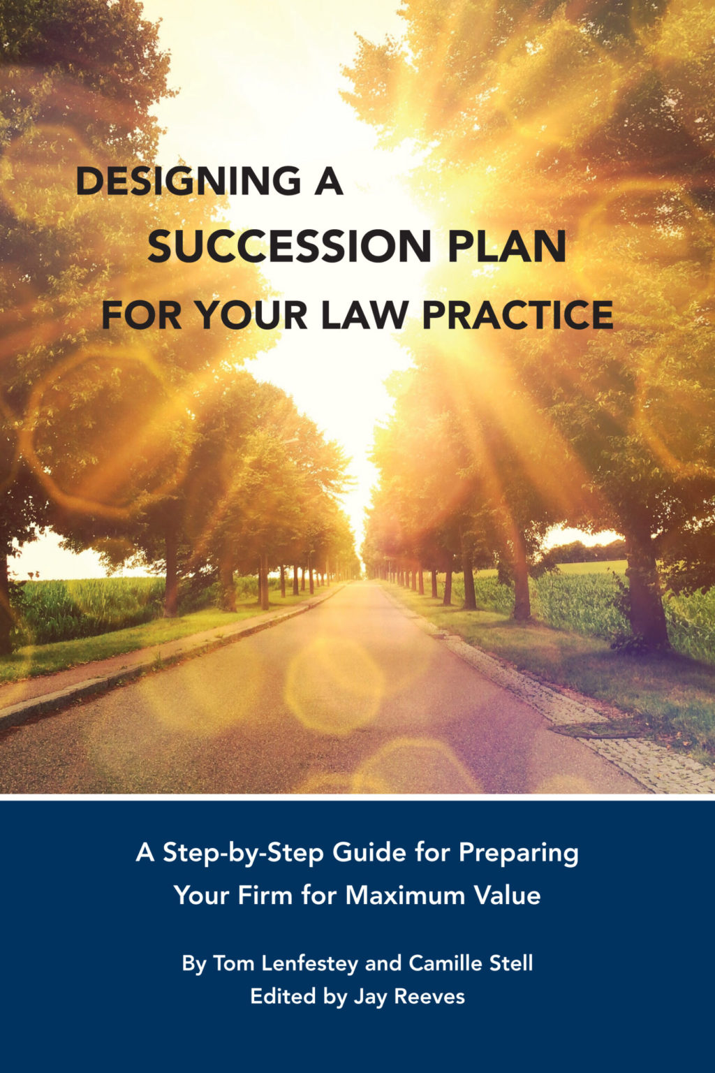 Designing A Succession Plan For Your Law Practice - Lawyers Mutual ...